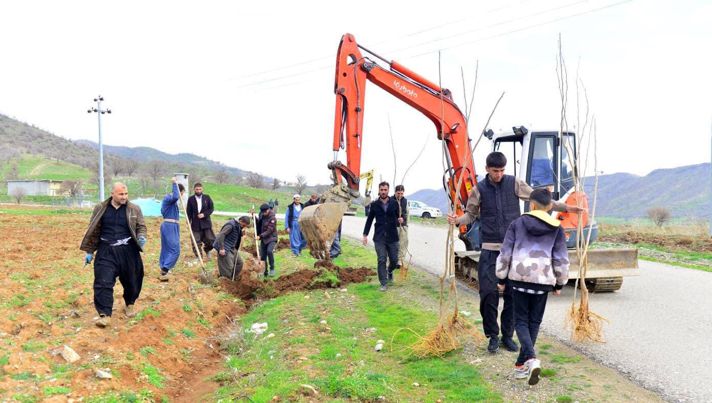 Thousands of Mulberry Trees Planted A Group of Volunteers Make Penjwen ...
