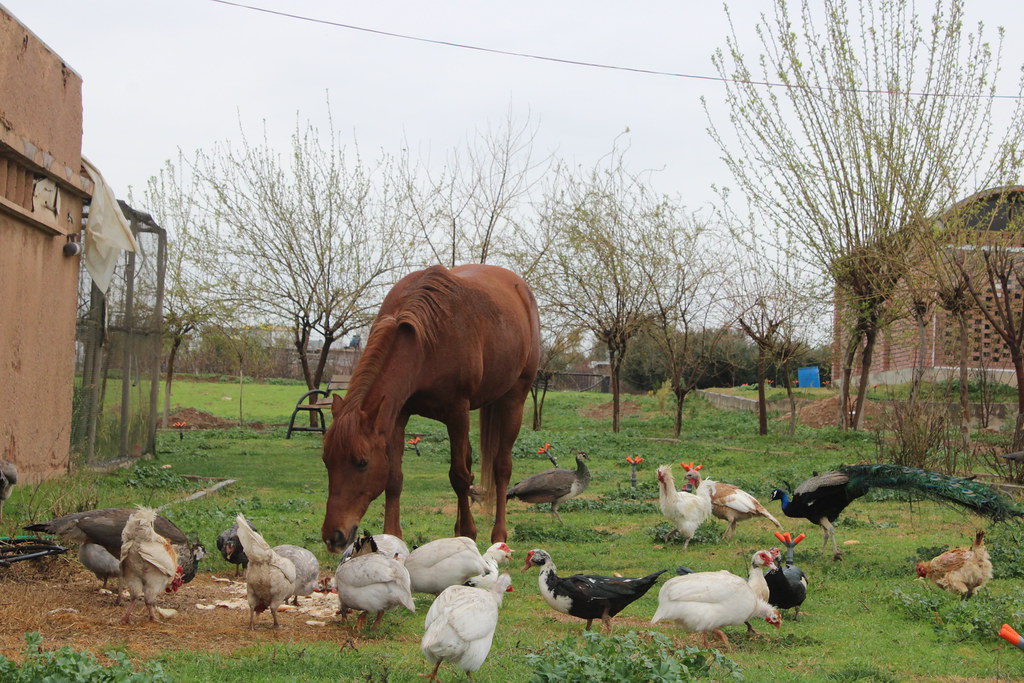 “Zhiyan Foundation” Turns Trash into Treasure